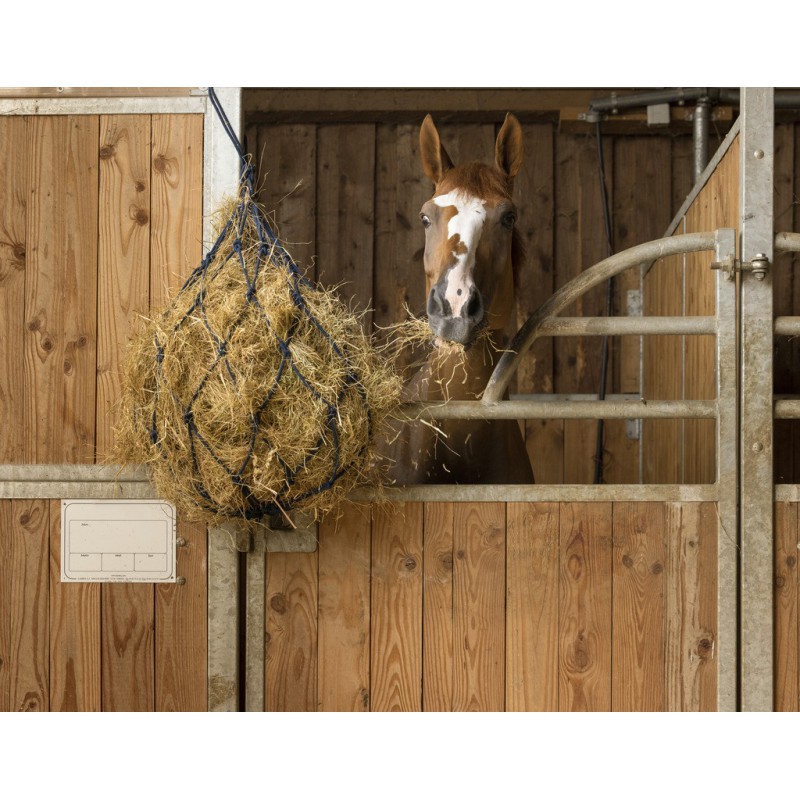 HIPPOTONIC - FILET À FOIN COTON * Silky Motion